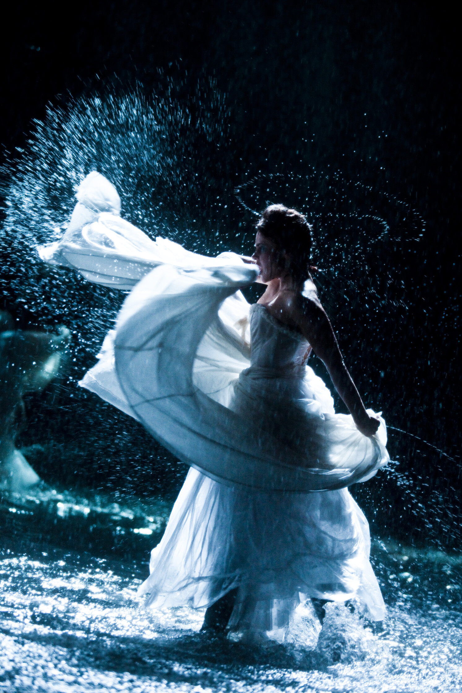 Maestro Arts – Maestro Arts