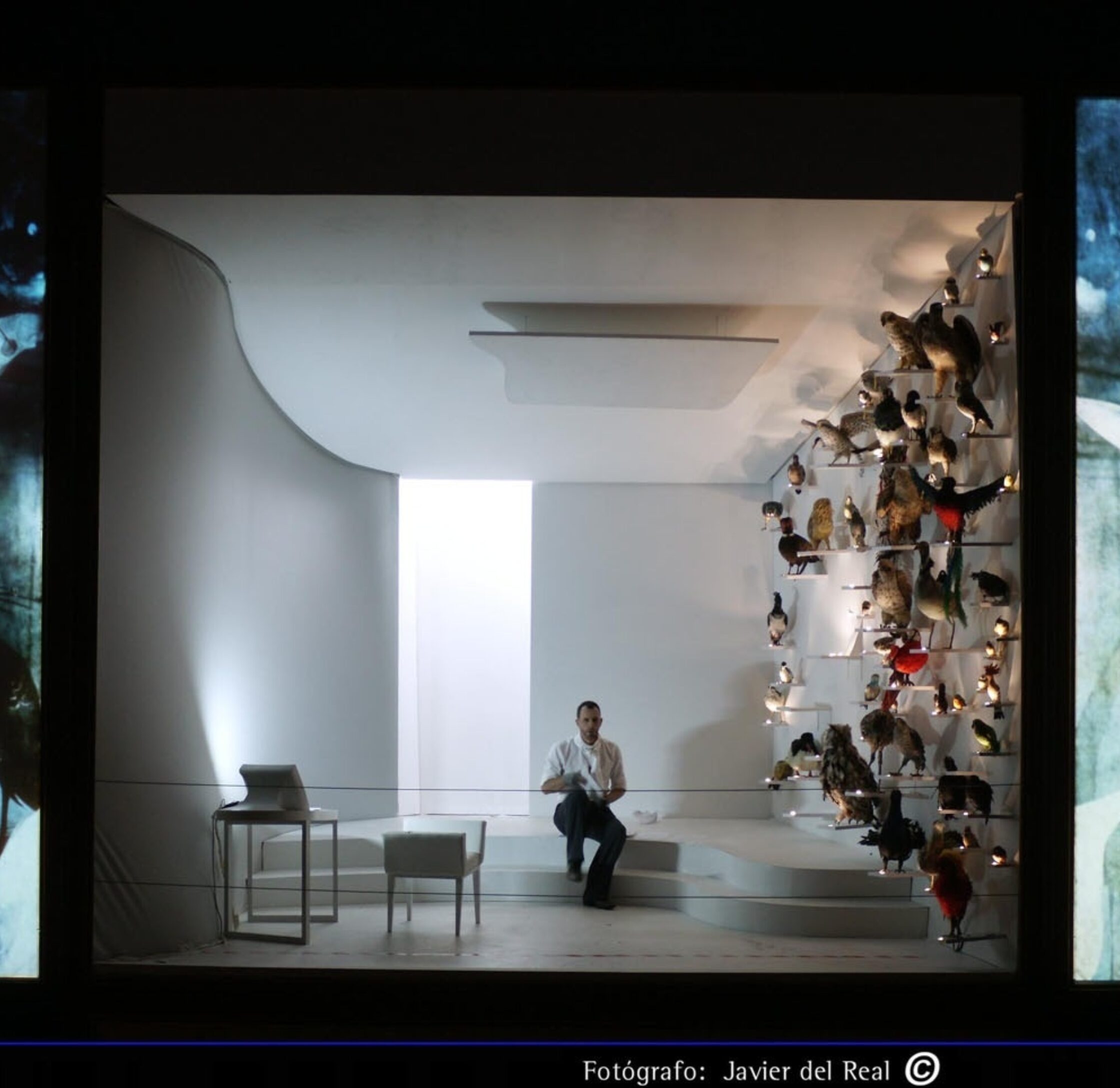 Alexander Polzin – Maestro Arts