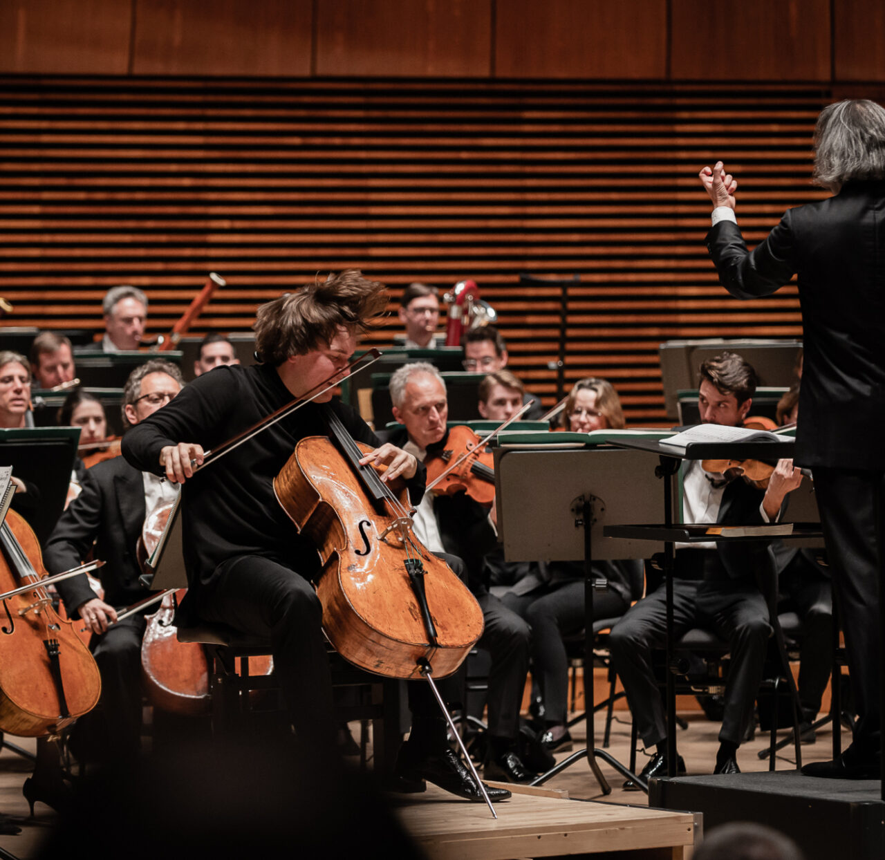 Ivan Karizna – Maestro Arts