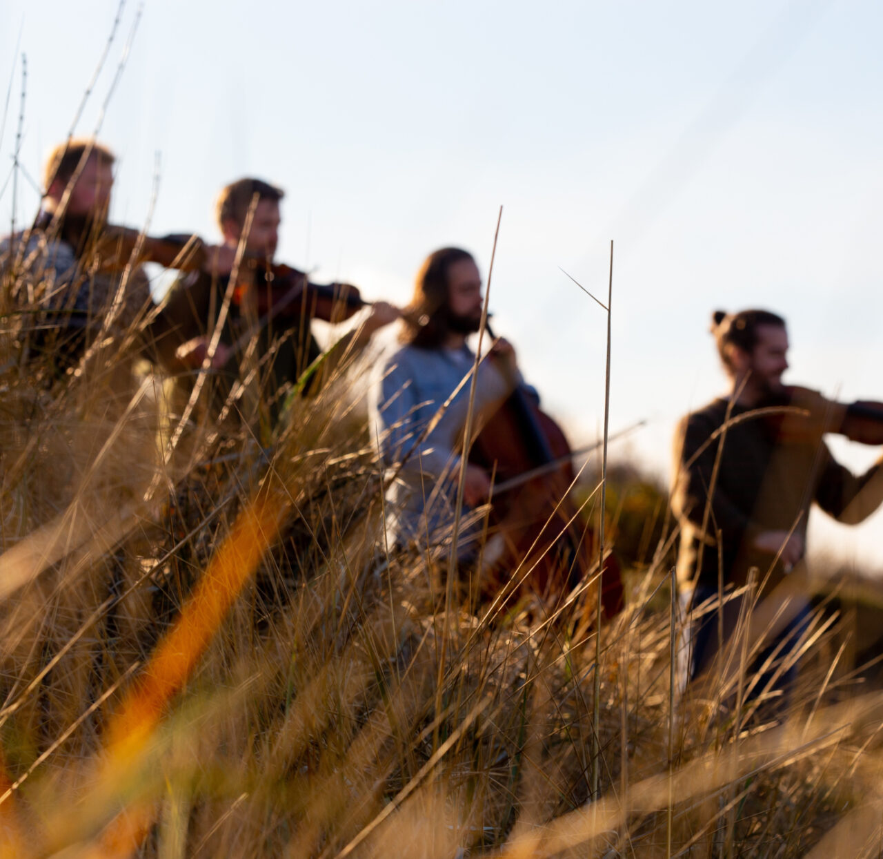 Maxwell Quartet – Maestro Arts